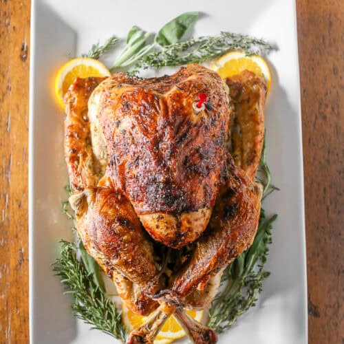 Adobo Turkey - Nutmeg Nanny