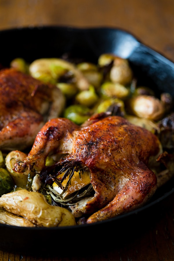 Cranberry BBQ Sauce Cornish Hens - Nutmeg Nanny