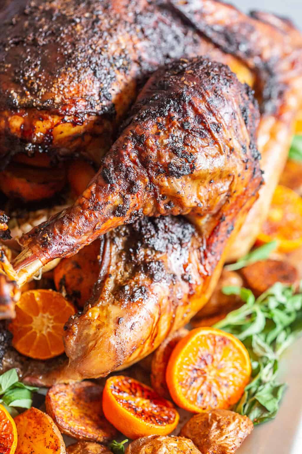 Adobo Turkey - Nutmeg Nanny