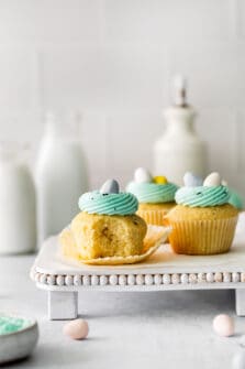 Robin Egg Cupcakes - Nutmeg Nanny