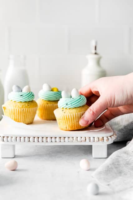 Robin Egg Cupcakes - Nutmeg Nanny