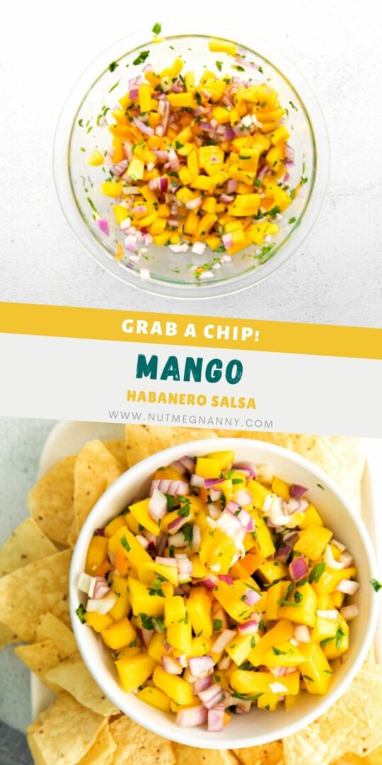 Mango Habanero Salsa - Nutmeg Nanny