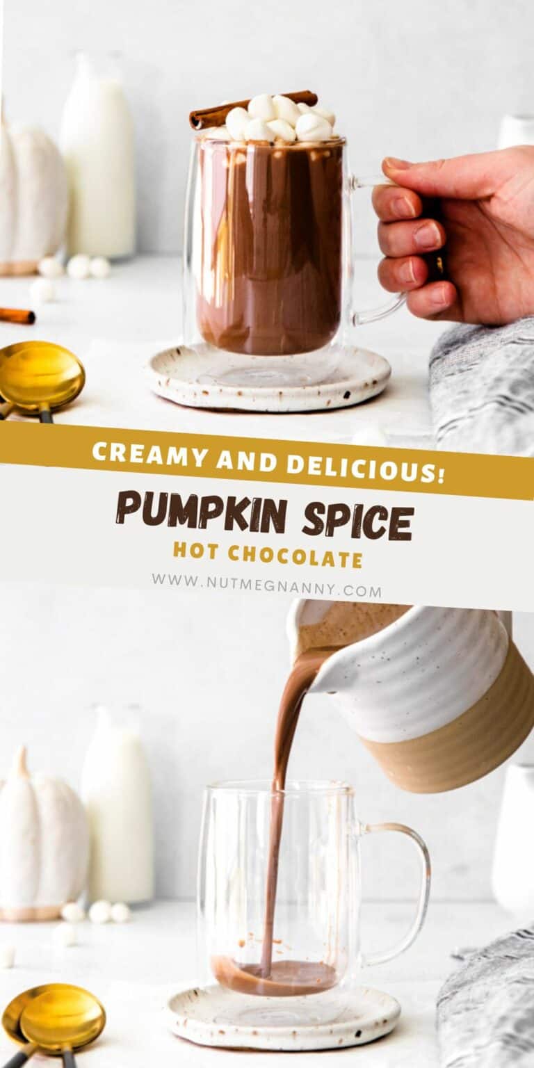 Pumpkin Spice Hot Chocolate - Nutmeg Nanny