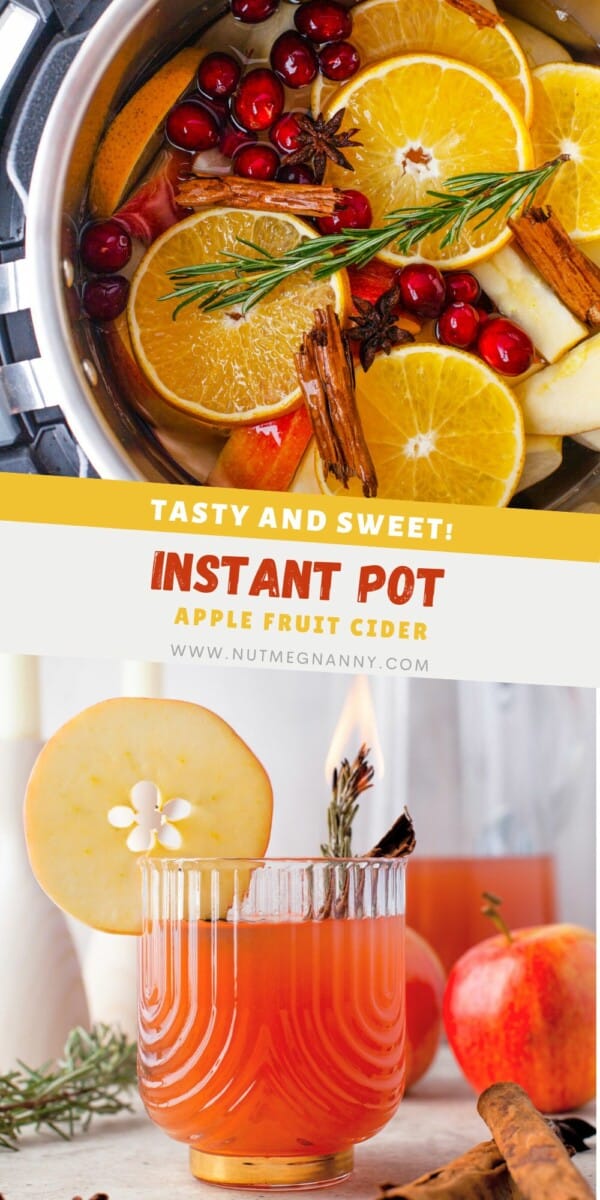 Instant Pot Apple Cider - Nutmeg Nanny