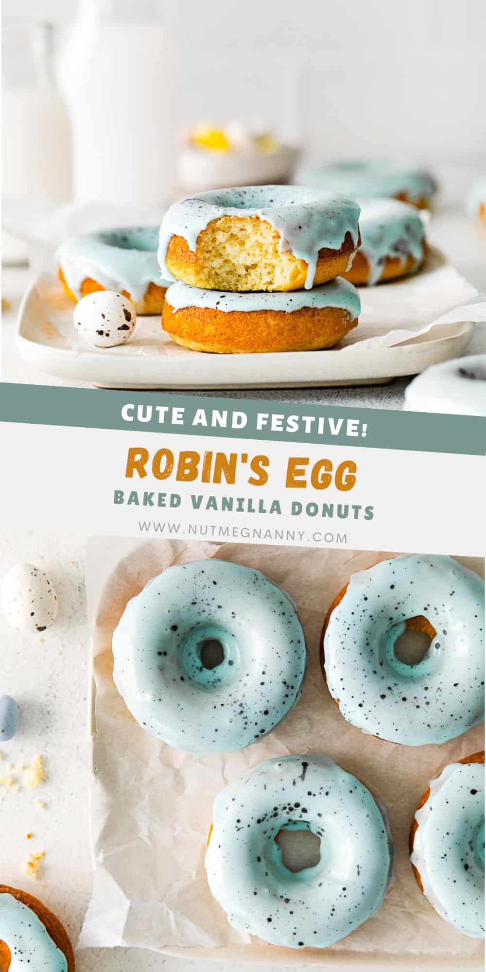 Robin's Egg Baked Donuts - Nutmeg Nanny