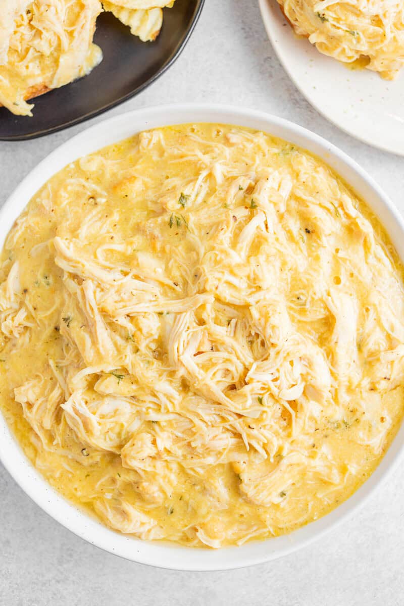 Ohio Shredded Chicken Sandwich - Nutmeg Nanny