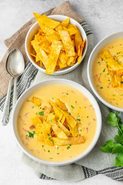 Max & Erma's Tortilla Soup Recipe - Nutmeg Nanny