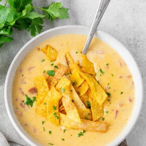 Max & Erma's Tortilla Soup Recipe - Nutmeg Nanny
